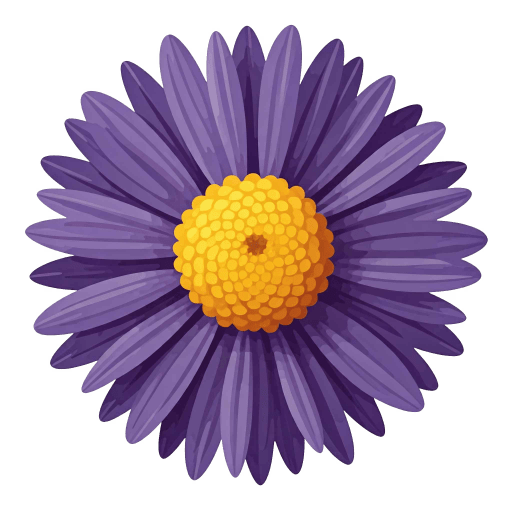 Aster